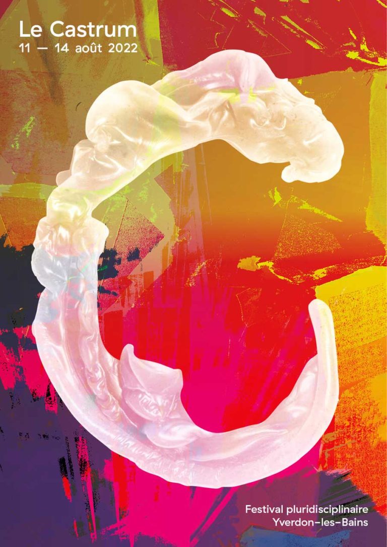 Castrum - Musée d'Yverdon et région